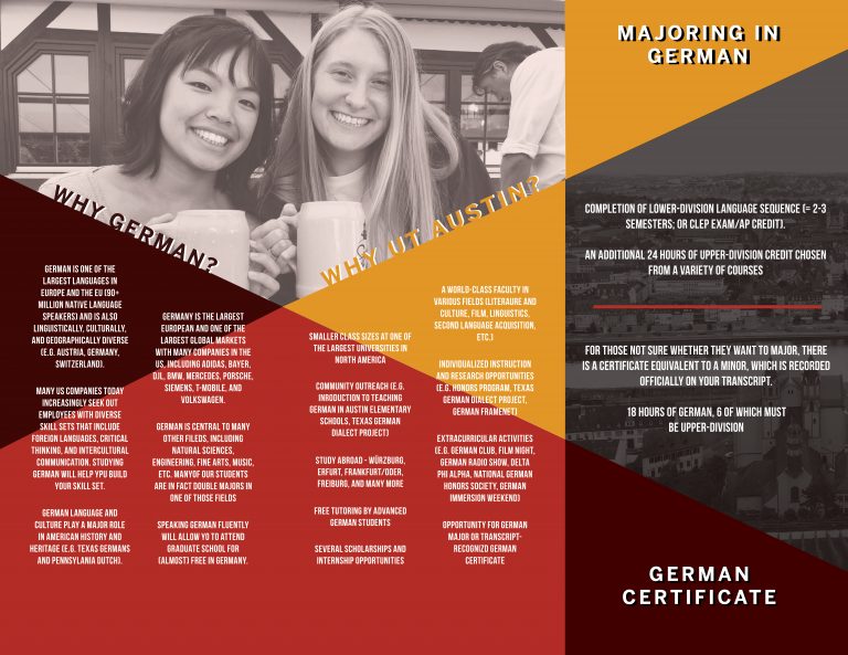 German Language Flyer and Vlabs Interactive Design