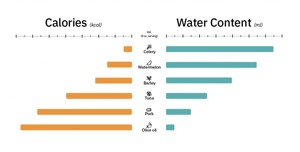 Nutrition Education Infographics