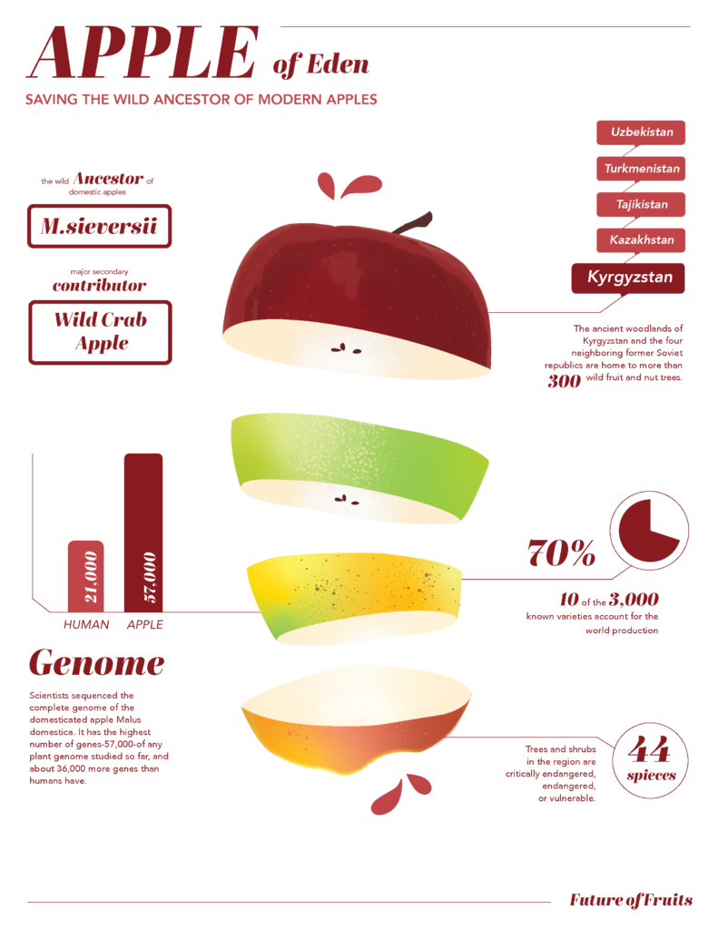 Infographic Training